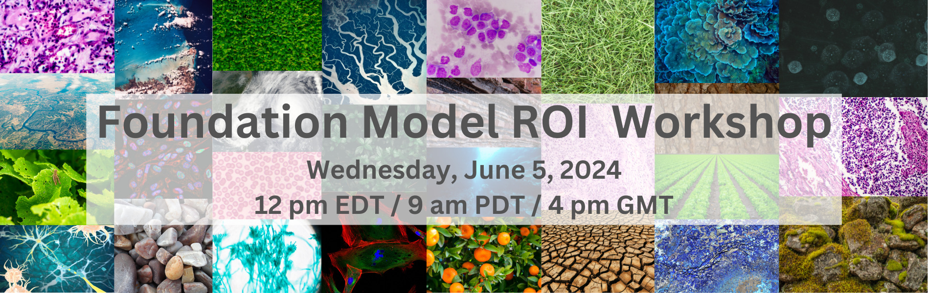Foundation Model ROI Workshop