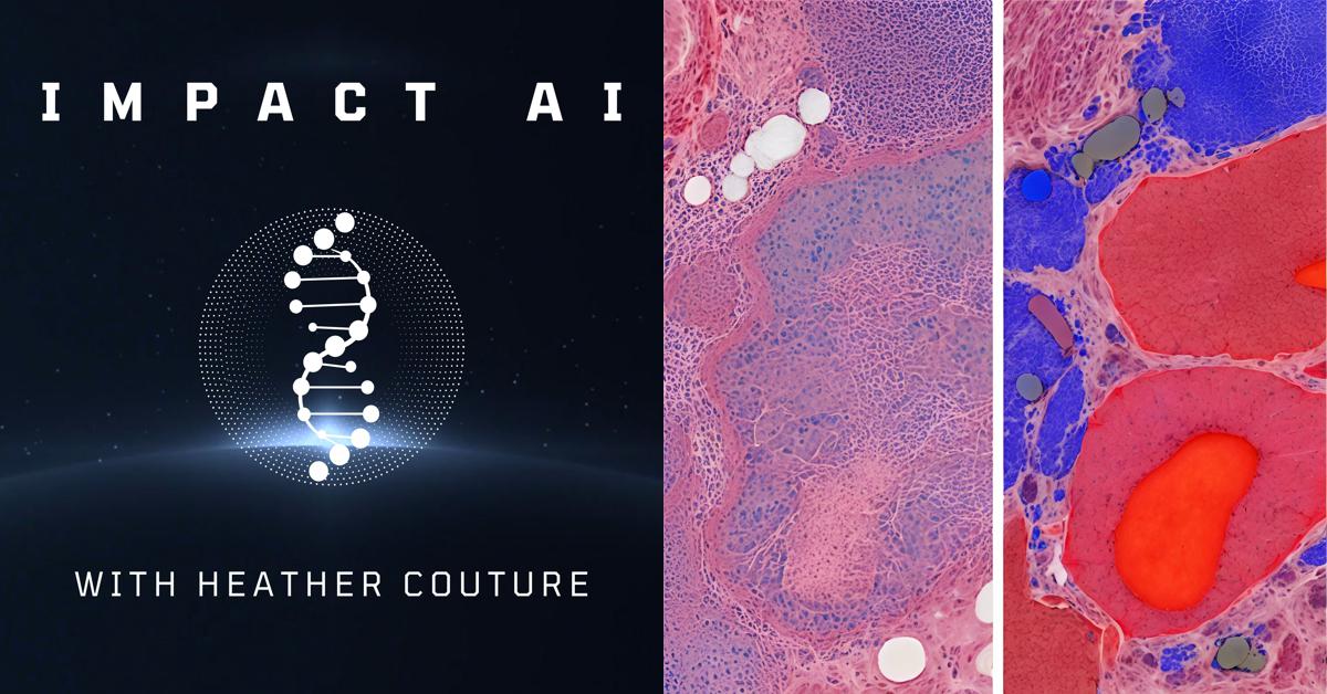 Foundation Model Series: Enabling Digital Pathology Workflows with Dmitry Nechaev from HistAI