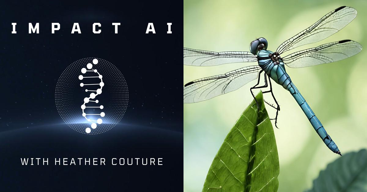 Measuring Biodiversity Using Insects with Mads Fogtmann from Fauna ...