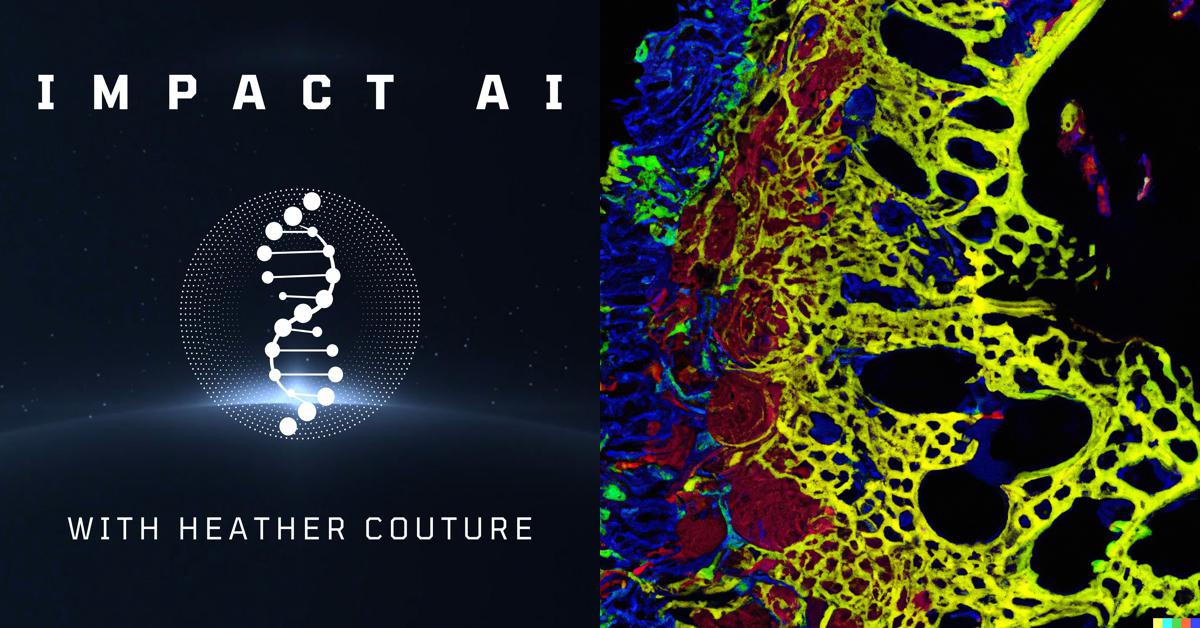 Microscopy Image Analysis with Philipp Kainz from KML Vision